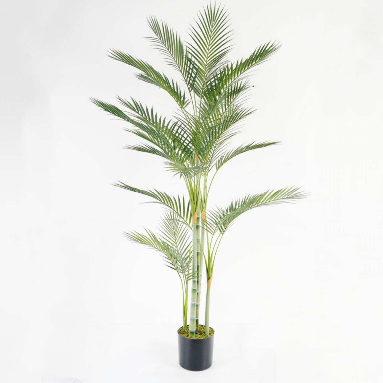 CVIJEĆE PALMA 7161350 160CM - Saga Prnjavor